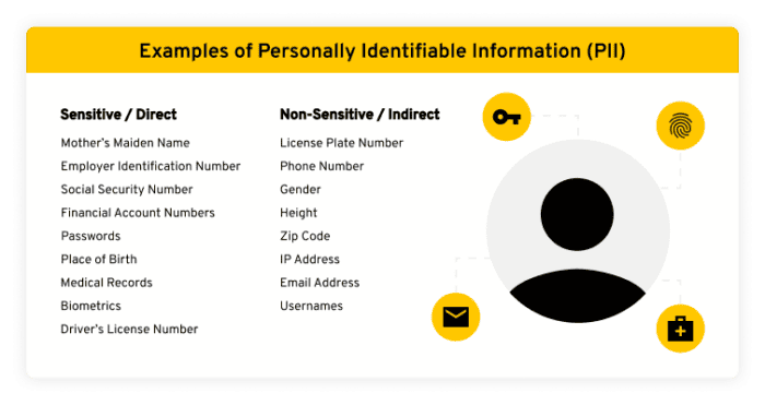 Protecting Personally Identifiable Information - Datamills